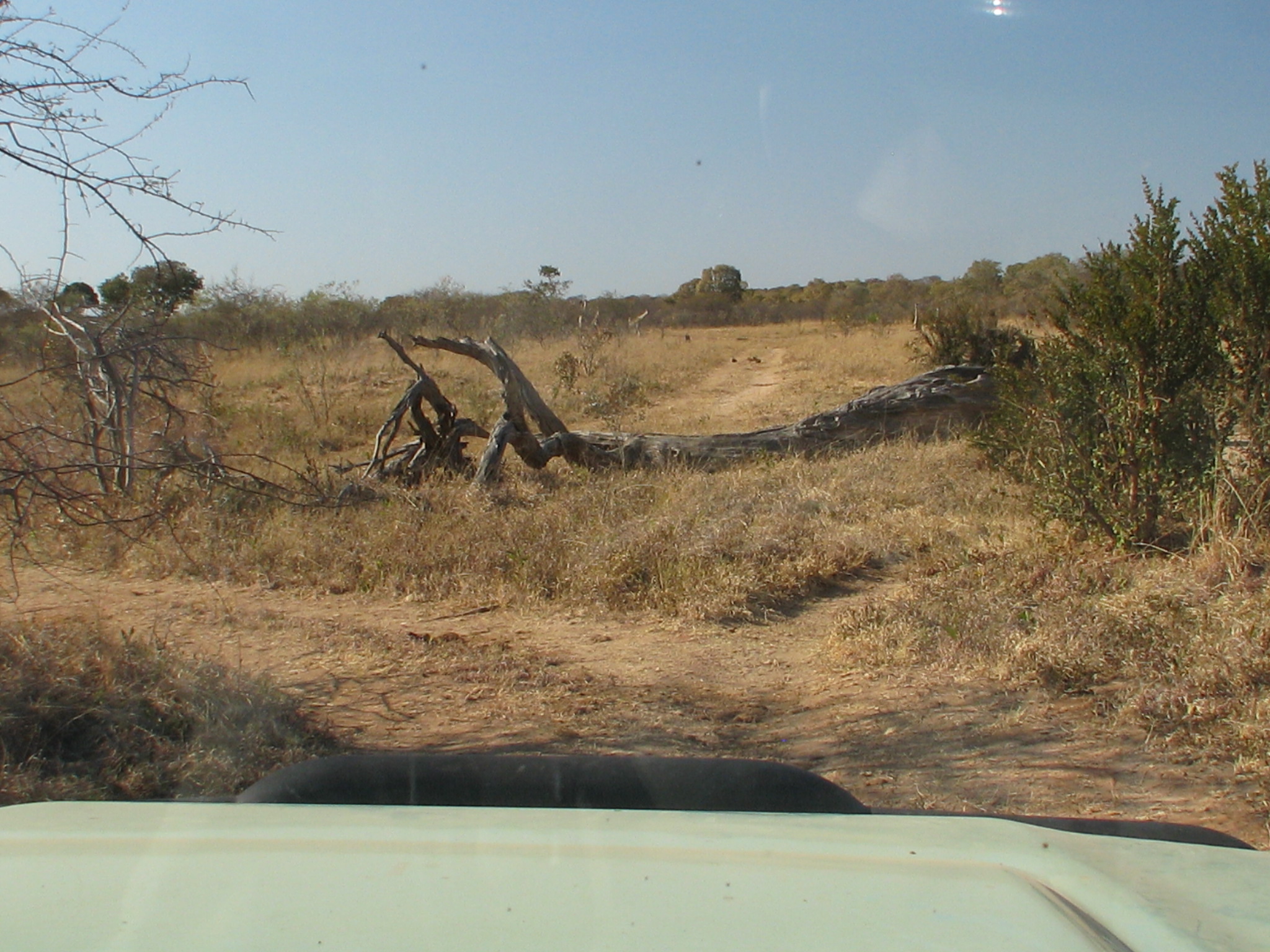 Zimbabwe Behind the Wheel - Overland Travel With KMcGee