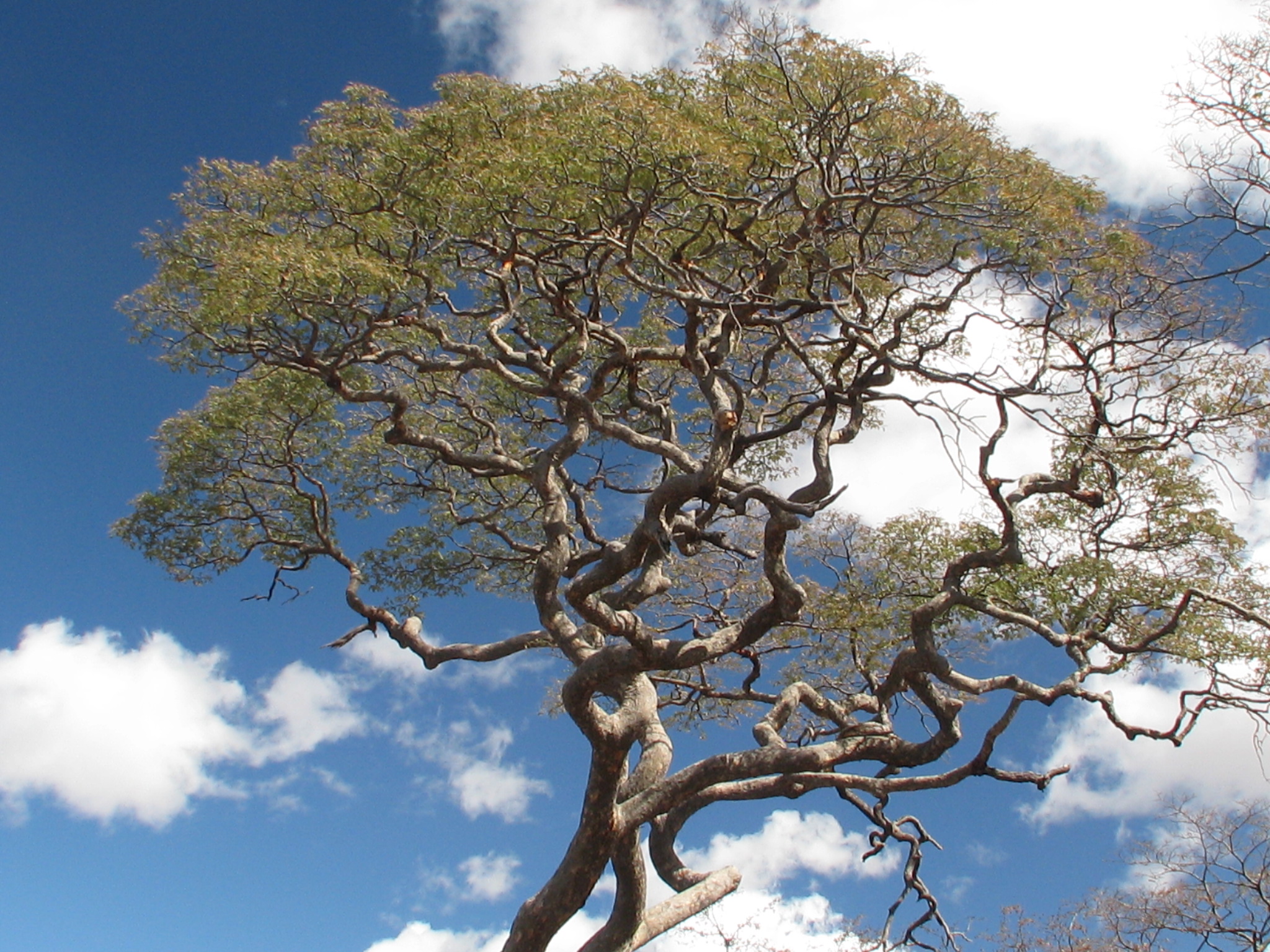 July 12-15: Chizarira National Park - Overland Travel With KMcGee