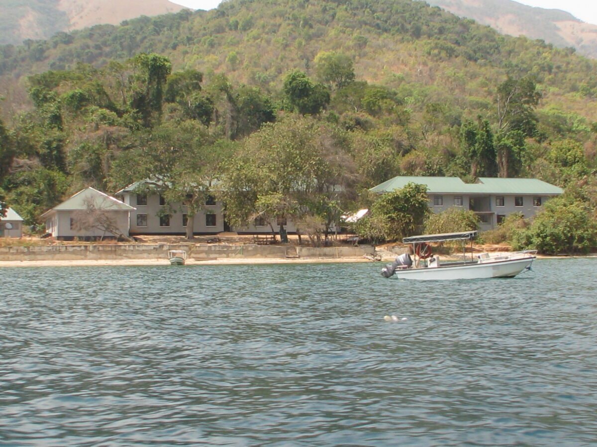 August 15-18: Gombe National Park and the Chimps - Overland Travel With ...