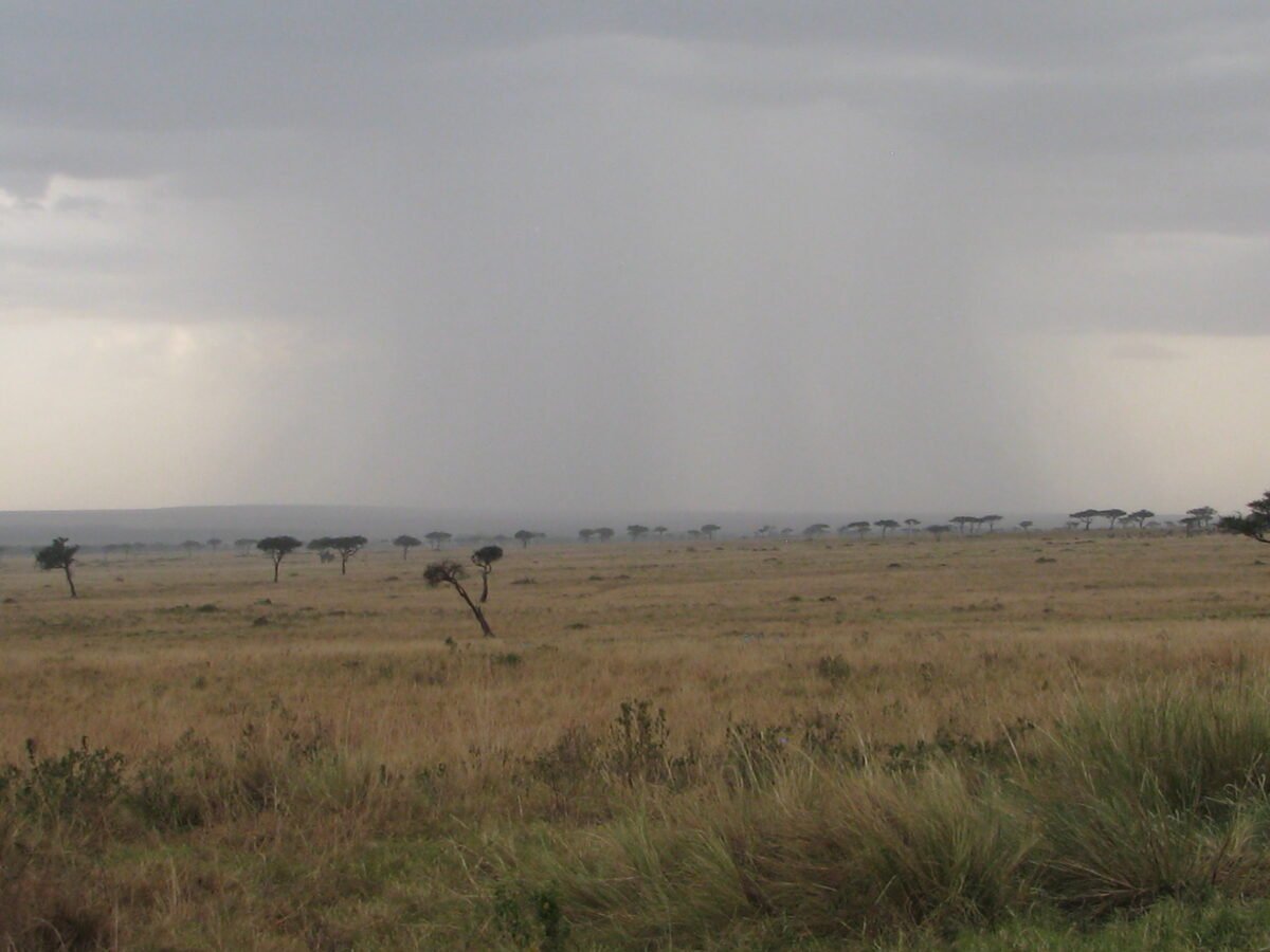 August 28-September 2: The Maasai Mara Triangle - Overland Travel With ...