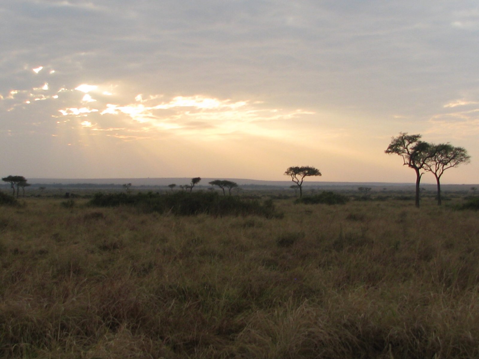 August 28-September 2: The Maasai Mara Triangle - Overland Travel With ...