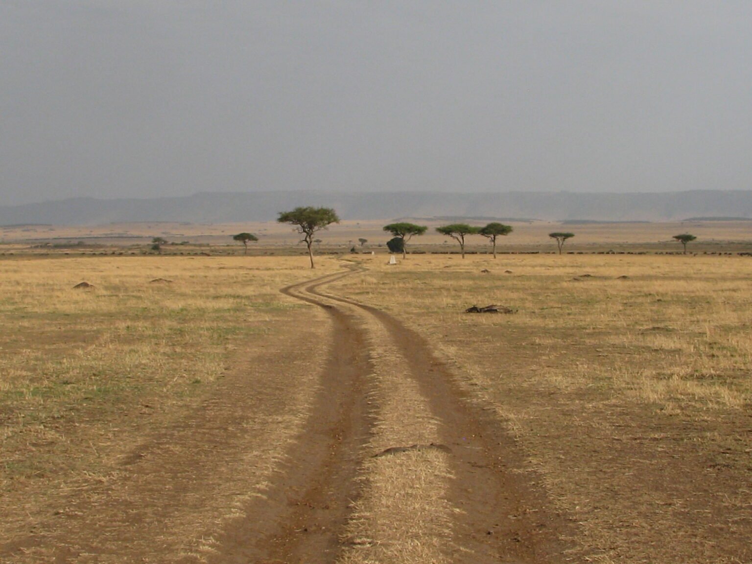 August 28-September 2: The Maasai Mara Triangle - Overland Travel With ...
