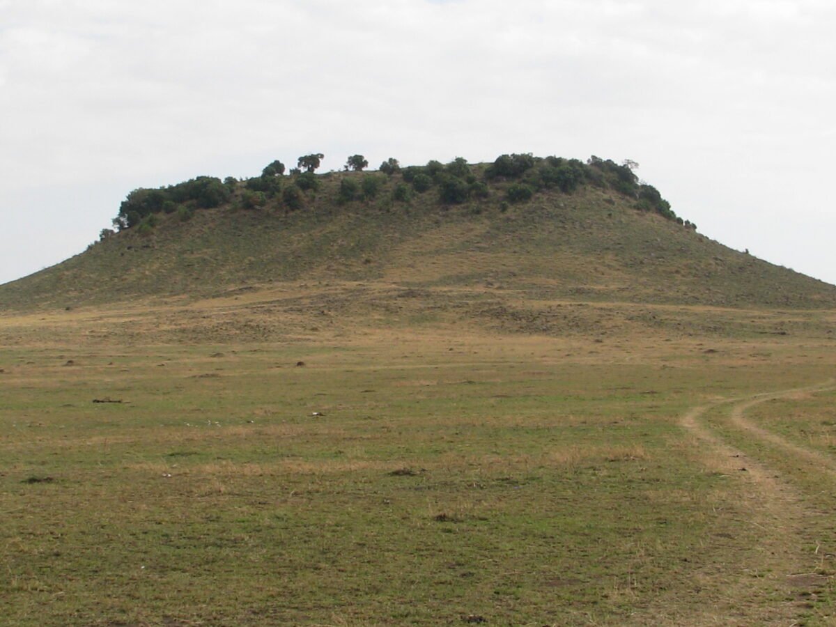August 28-September 2: The Maasai Mara Triangle - Overland Travel With ...